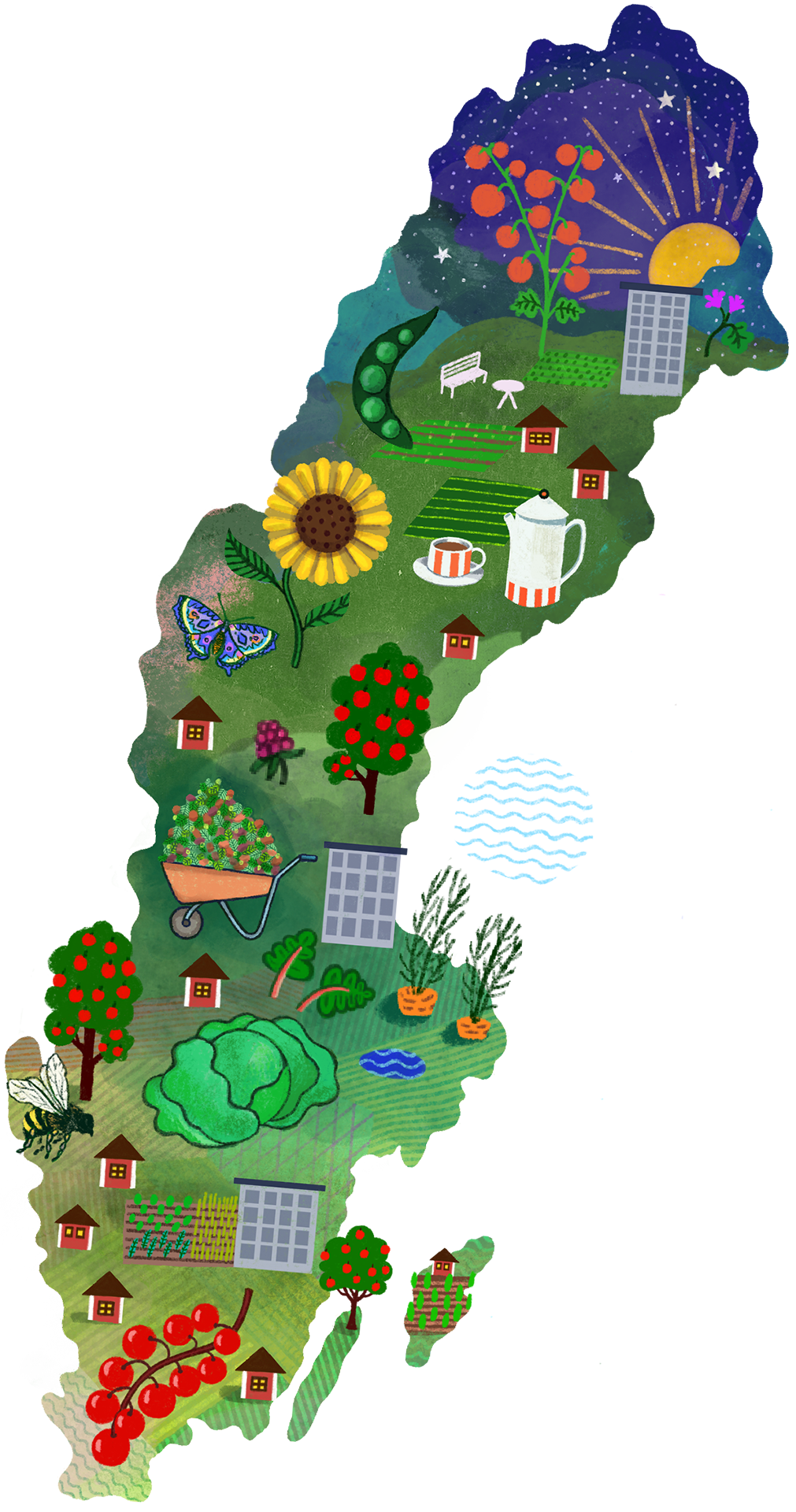 Koloniträdgårdsförbundet – Tillsammans stärker vi kolonirörelsen.